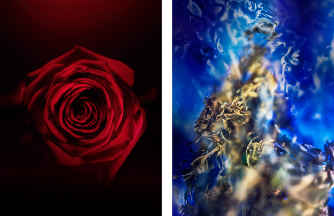 Bulgari's sparkling scent in the eyes of Valeria Manini, Bulgari ...