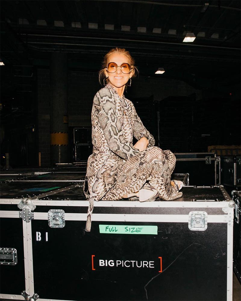Céline Dion and Elie Saab Show Us How To Wear Snakeskin Print This ...