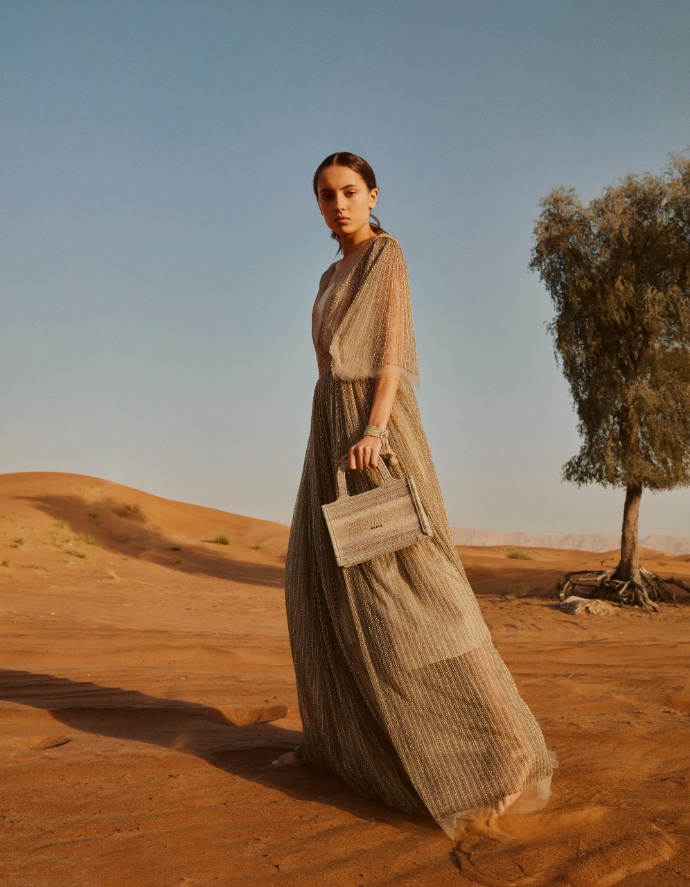 Dior Launches the Gold Capsule Collection in the Middle East - A&E Magazine