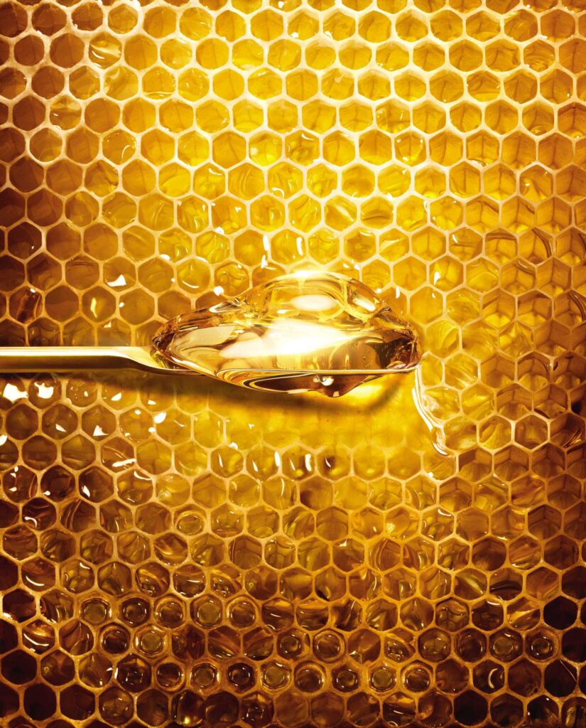 Doing it For the Bees: Guerlain Marks World Bee Day - A&E Magazine