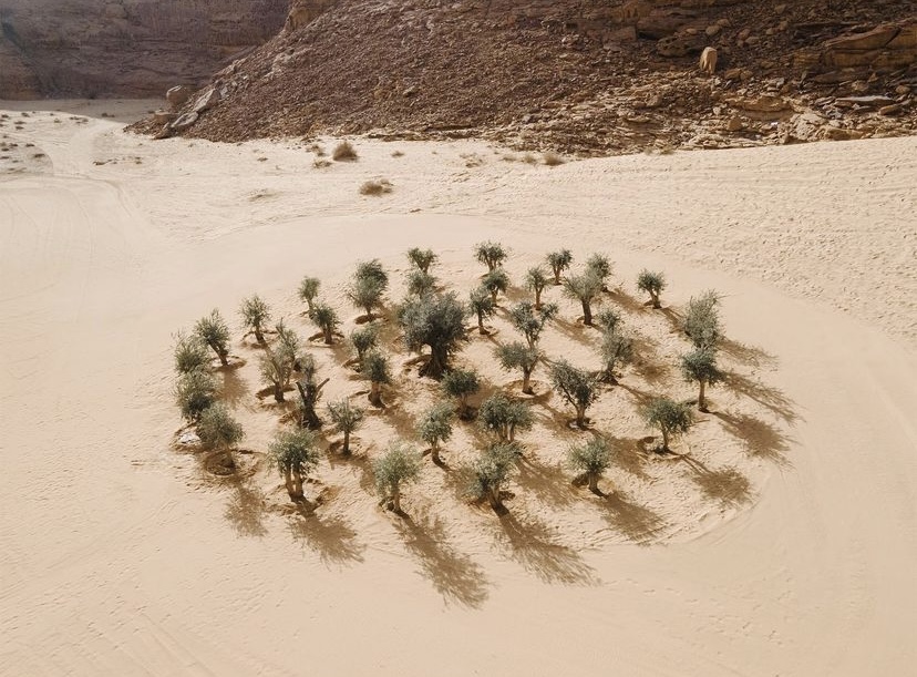 An International Art Exhibition is Coming to AlUla - A&E Magazine