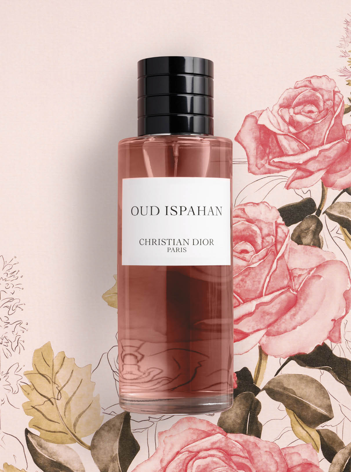 The Art of Scent: See Christian Dior's Luxury Fragrance Collection - A ...