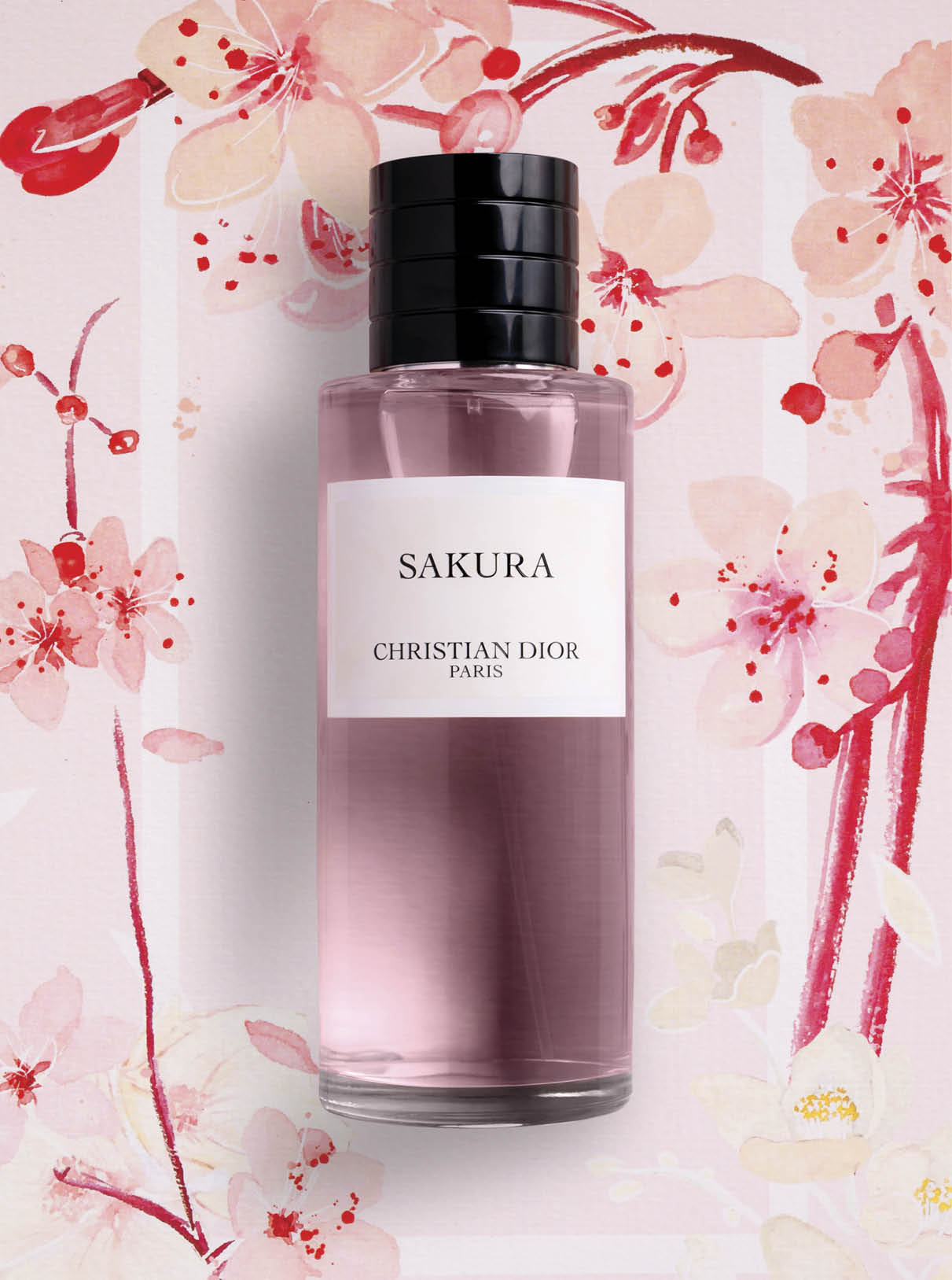 The Art of Scent: See Christian Dior's Luxury Fragrance Collection - A ...