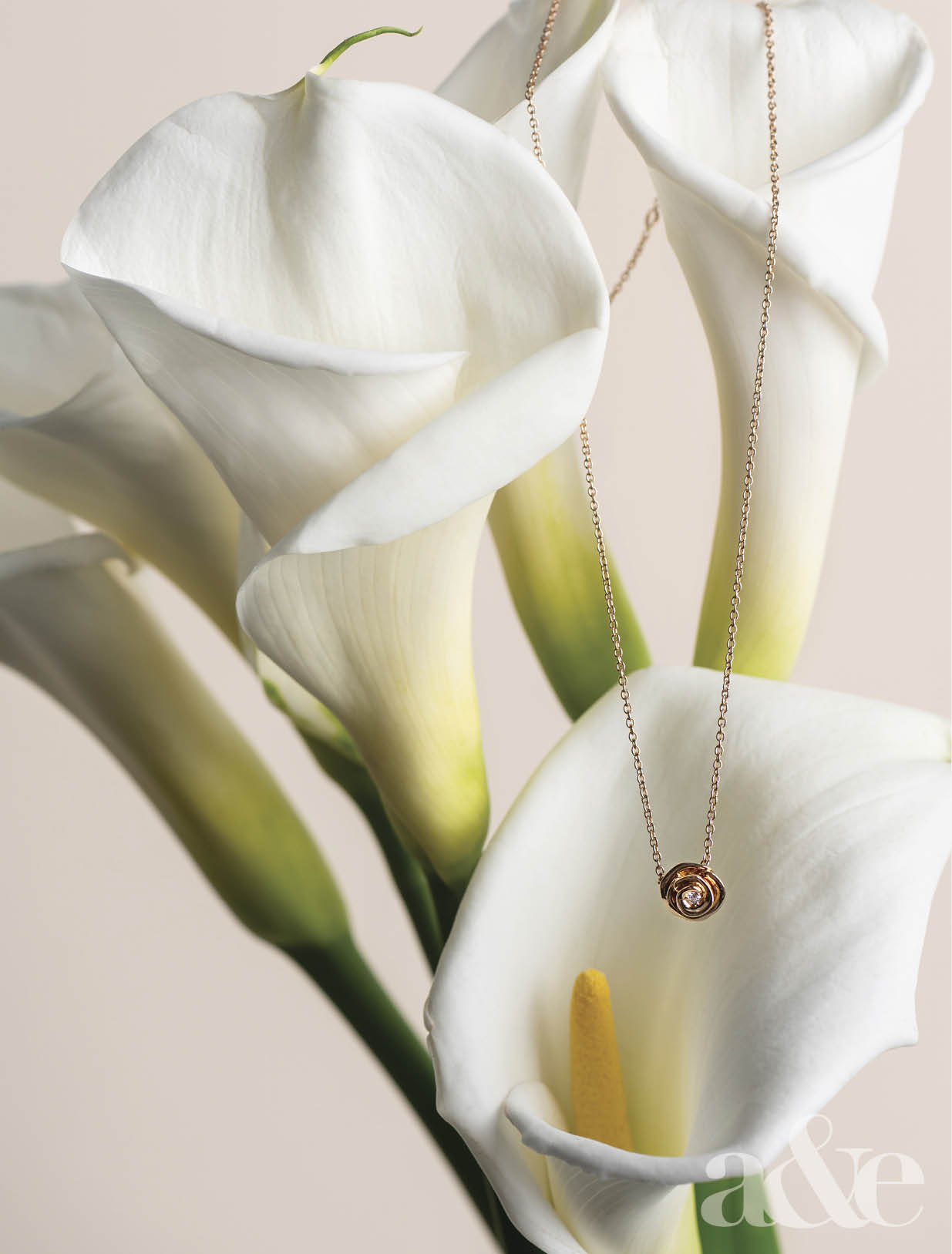 Pure Beauty: See Dior's Latest Jewellery and Watch Collections - A&E ...