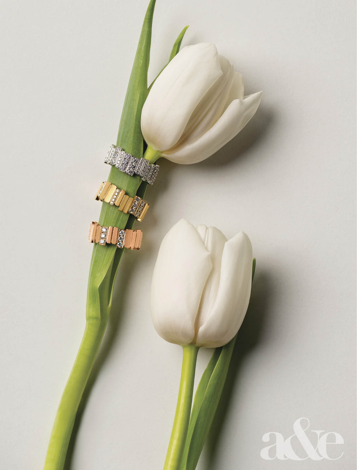 Pure Beauty: See Dior's Latest Jewellery and Watch Collections - A&E ...