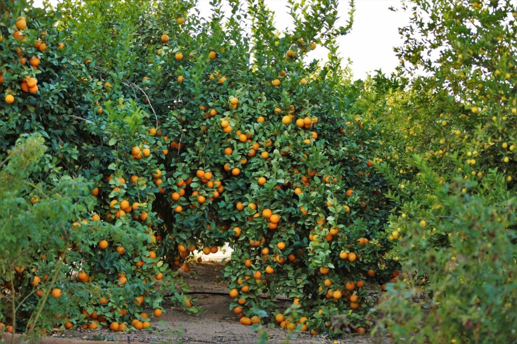 Reasons to Love AlUla This Summer - A&E Magazine