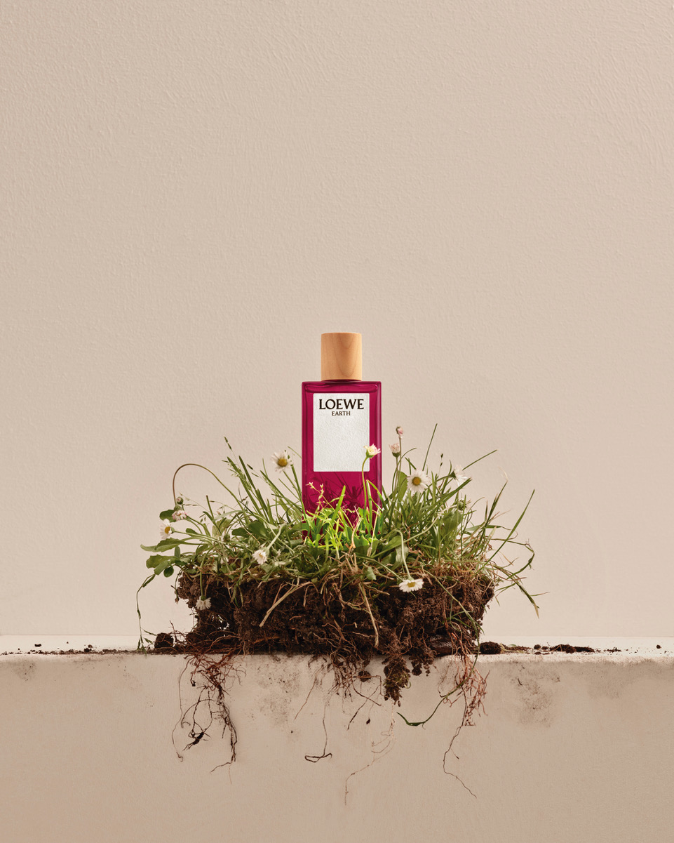 Loewe Expands Its Botanical Rainbow Fragrance Collection - A&E Magazine