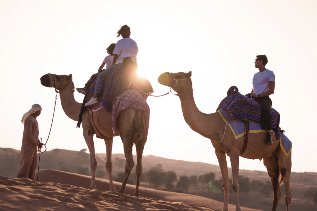 Discover a Summer Retreat at The Ritz-Carlton, Al Wadi Desert - A&E ...